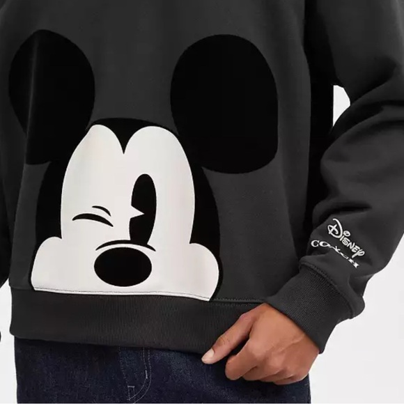 Coach | Other | Nwt Coach Outlet Disney X Coach Wink Mickey Mouse ...